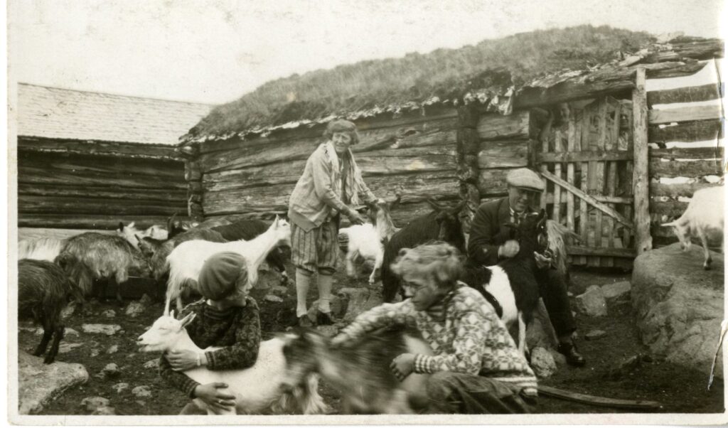 Barnyard Scene | Historical Images, Farm | Vesterheim Norwegian-American